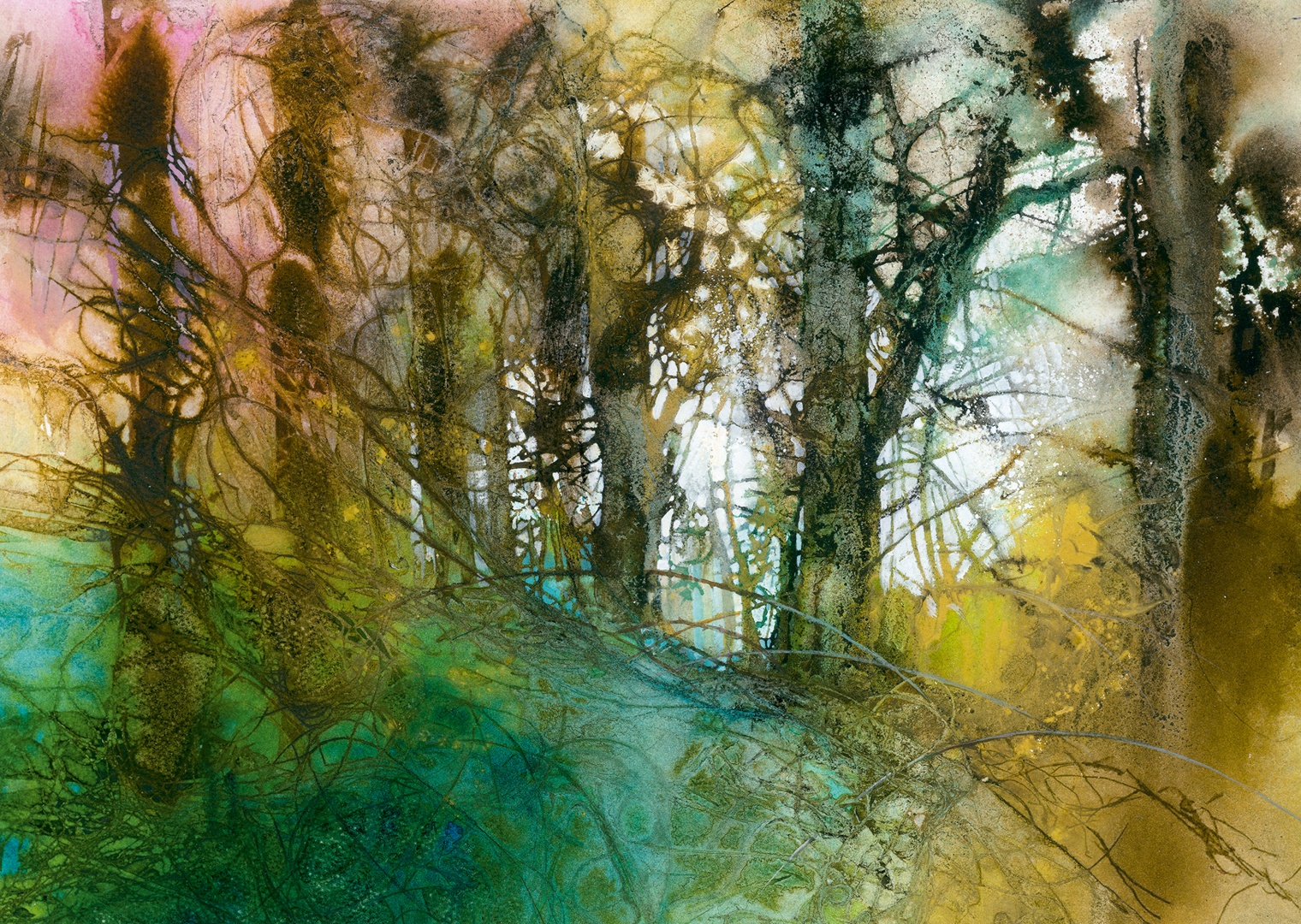 Ann Blockley’s Watercolour Workshop solo exhibition - Batsford Books