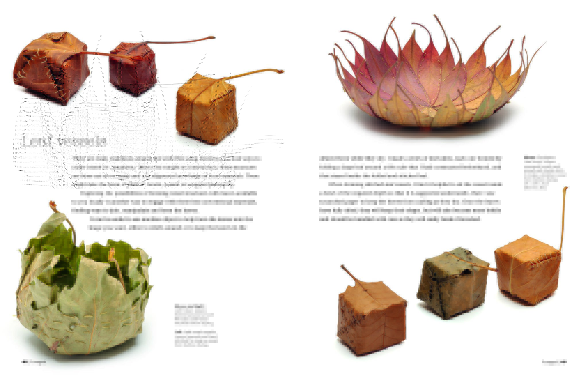 Alice Fox – ‘Wild Textiles’ Book Launch & Signing - Batsford Books