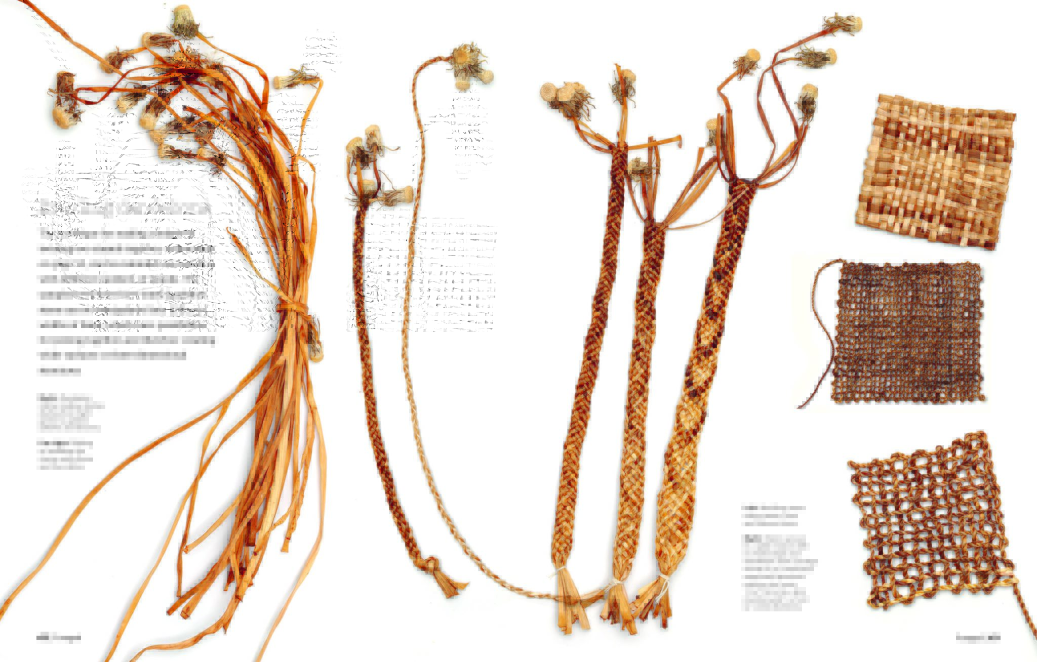 Alice Fox – ‘Wild Textiles’ Book Launch & Signing - Batsford Books